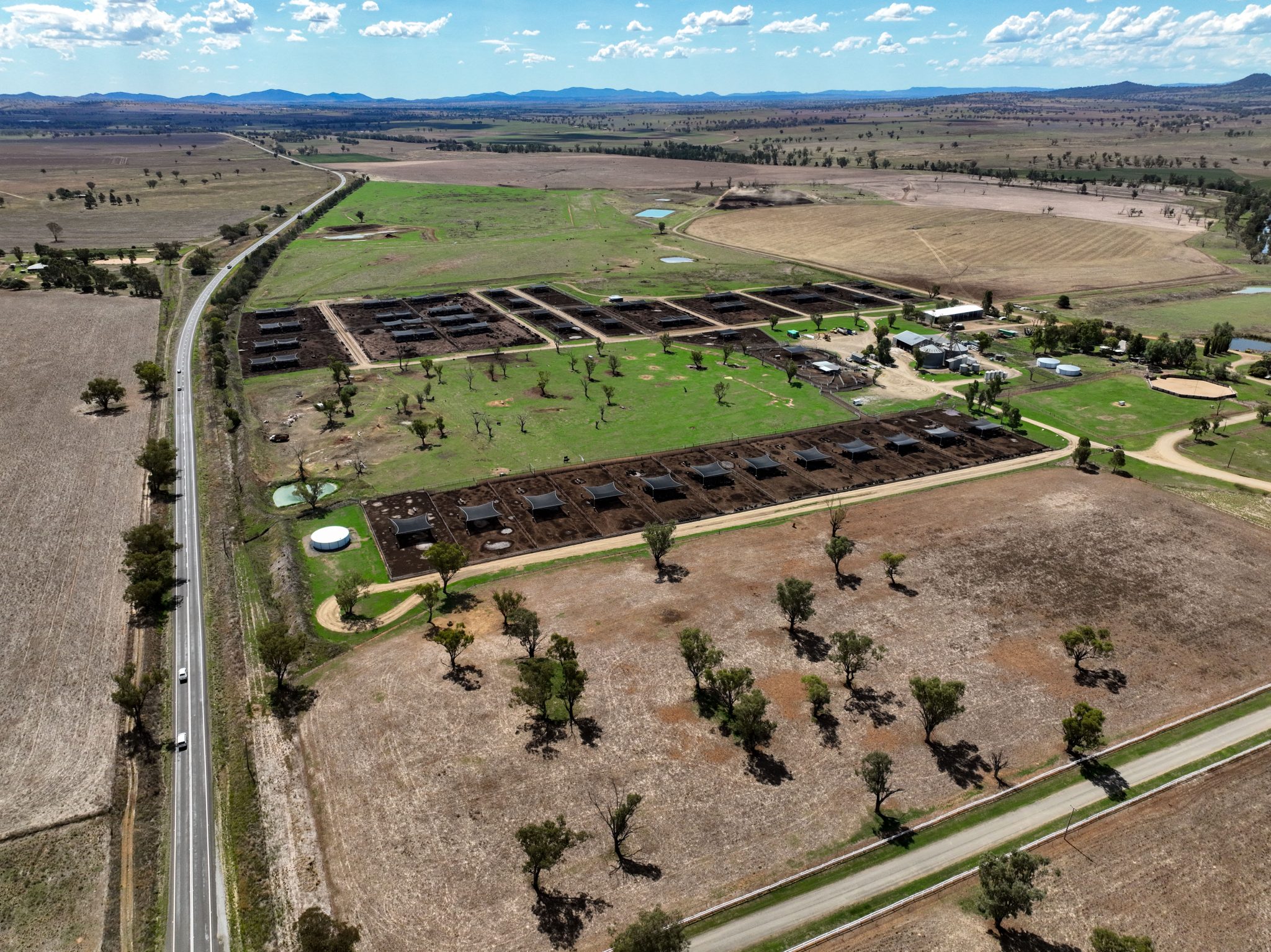 Aussie Feedlots